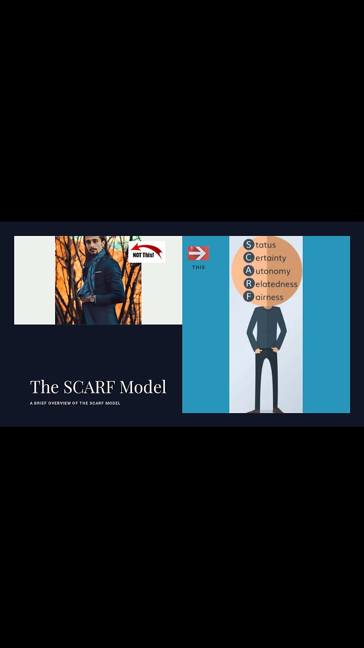 Introduction to The SCARF Model