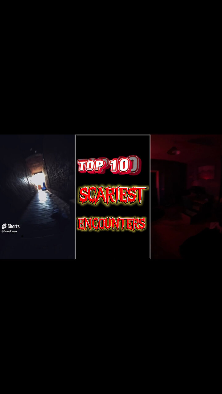 Top 10 Scariest Encounters!