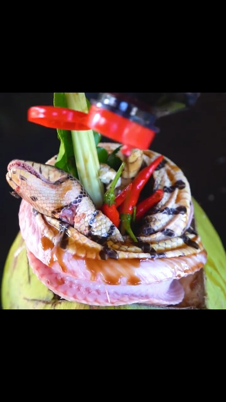 Catch snake 🐍 and cook eat