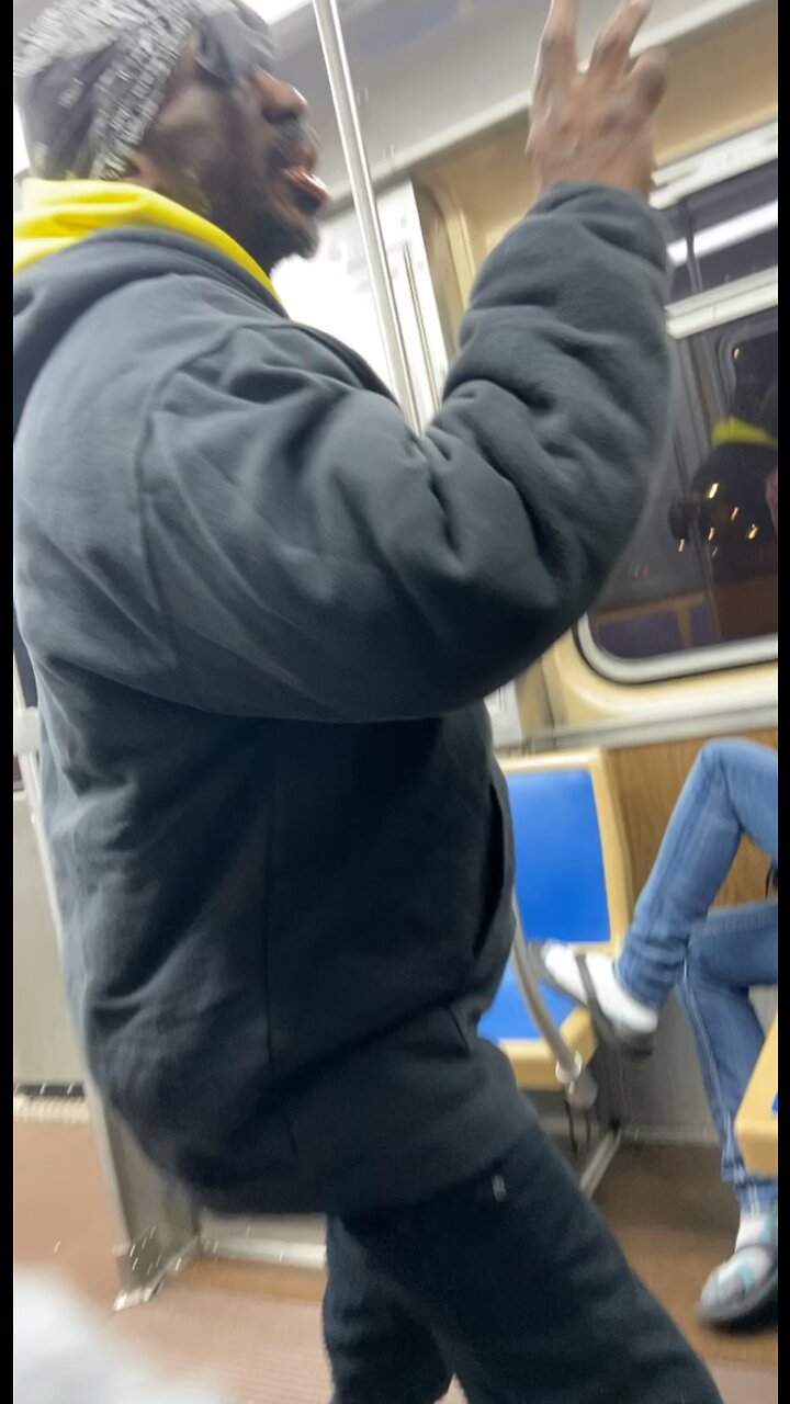Chicago Tupac CTA train