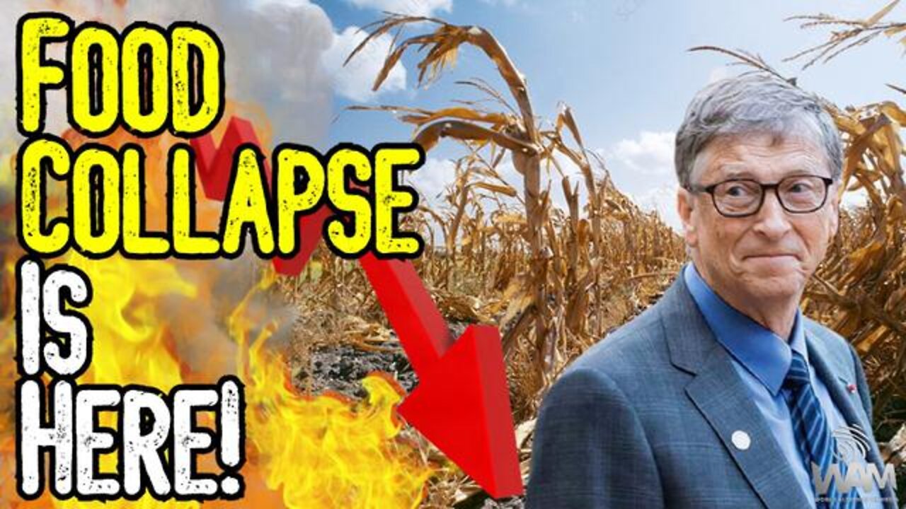 FOOD COLLAPSE IS HERE! - California Loses Half A Million Acres Of ...