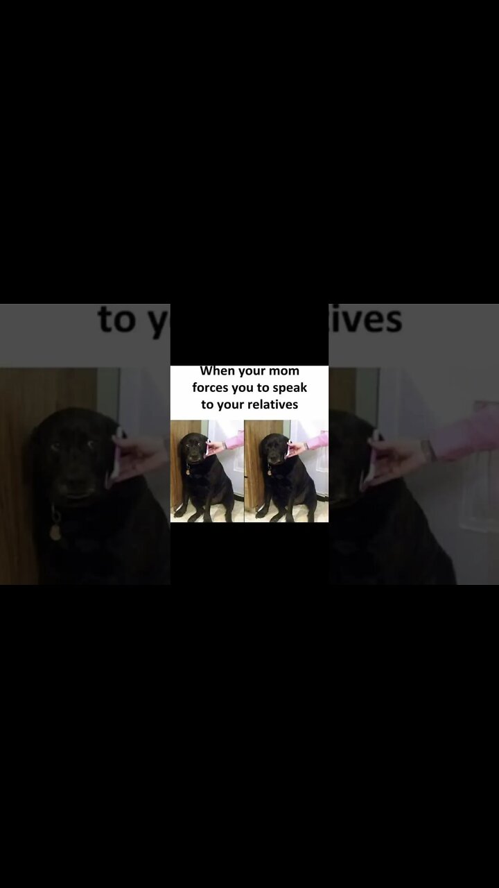 Daily Funny Memes | Daily Memes Compilation | Hilarious Memes | Dank ...