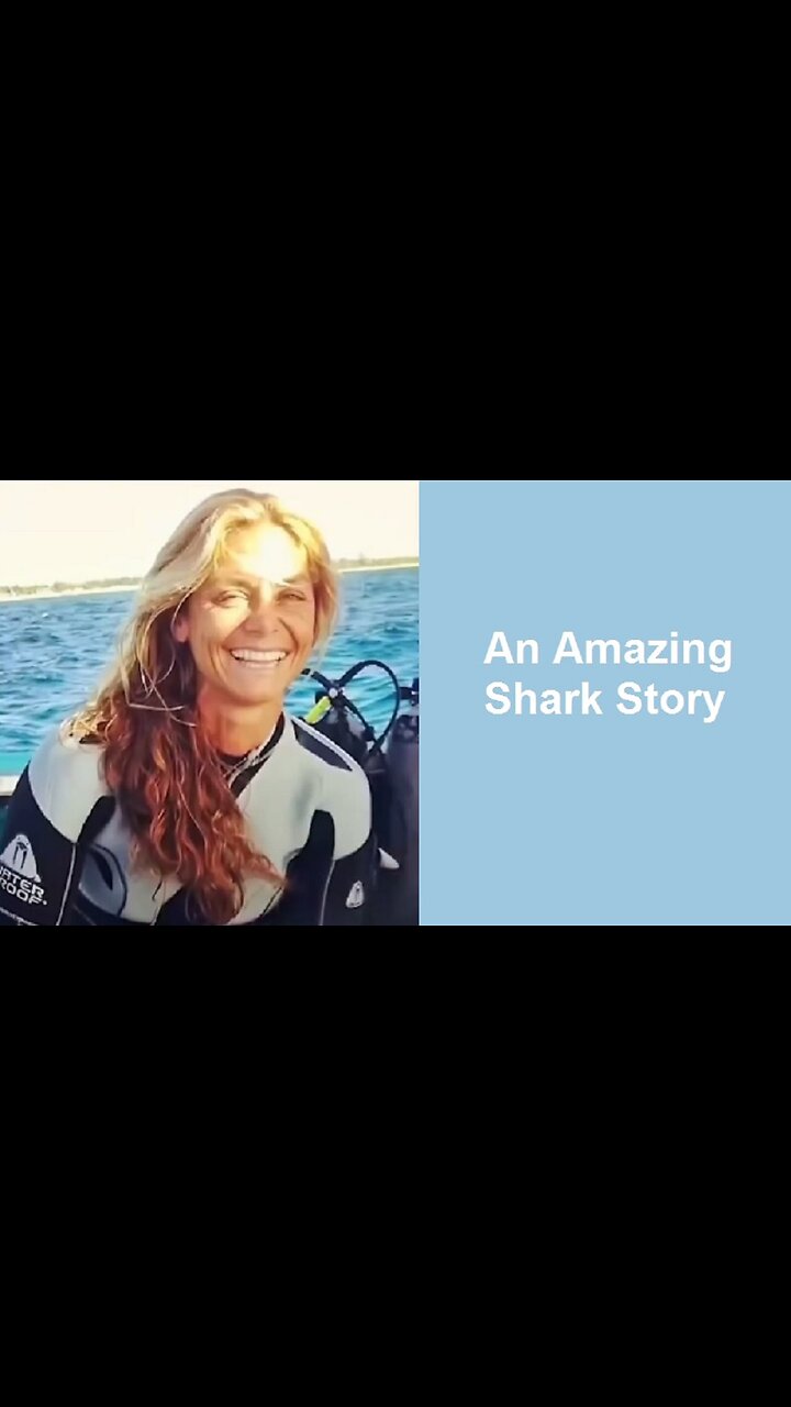 An Amazing Shark Story