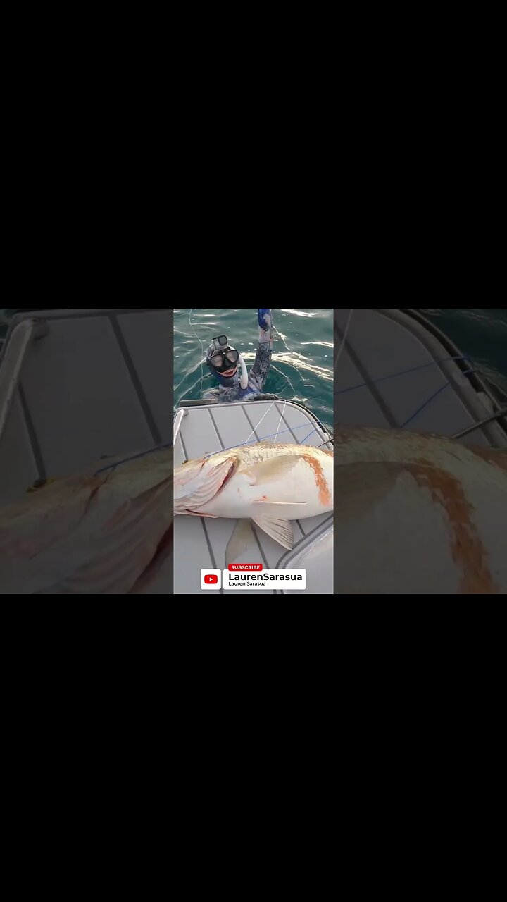 Hunting Big Fish Near Dangerous Bullsharks in Miami, Florida # ...