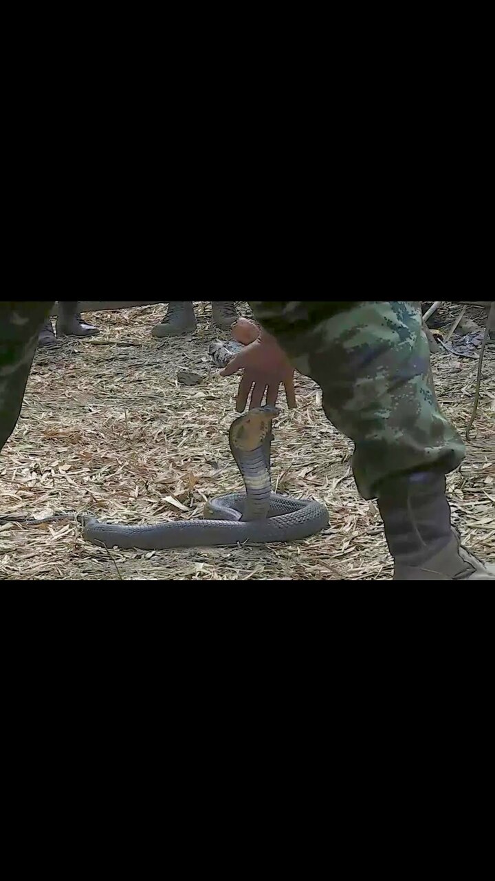 Soldier and Snake video