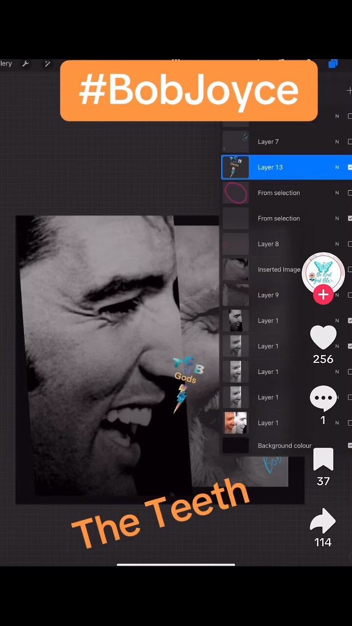 Elvis Presley & Bob Joyce: Unbelievable Facial Similarities