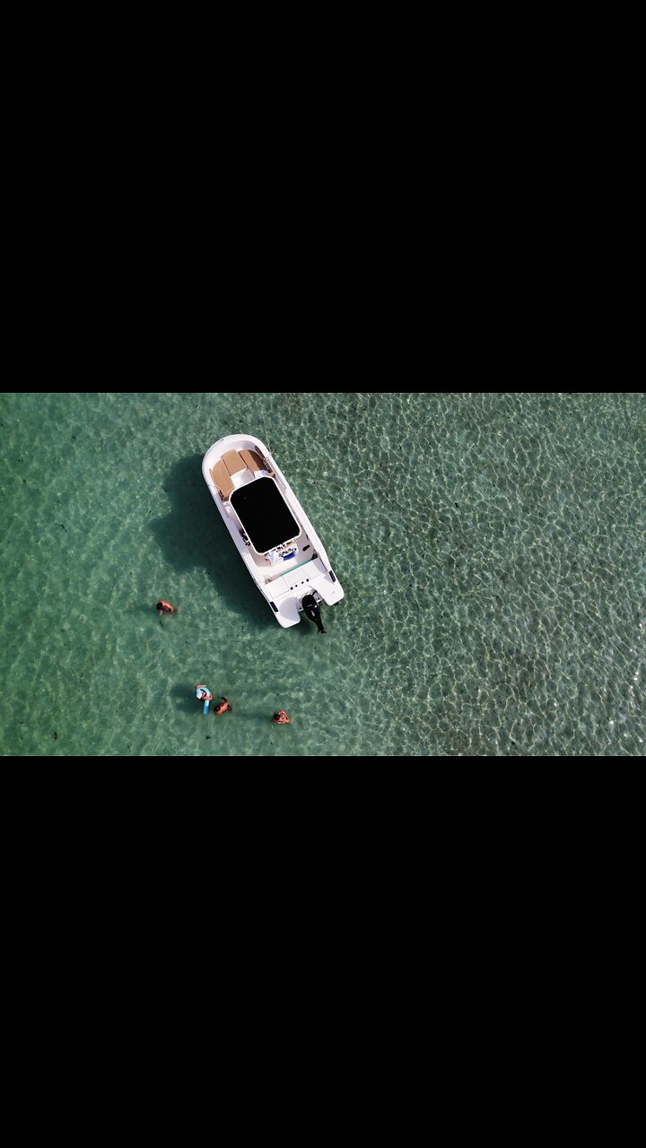 Unwind and Relax: The Best Summer Vacation Spot on Anna Maria Island