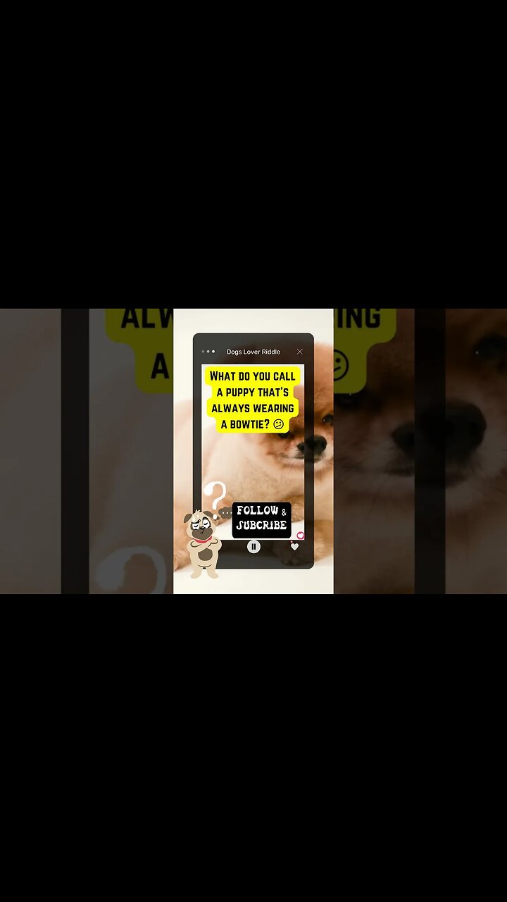 Dogs Riddle | Dogs Riddles in English | Riddles with Answer | Hard ...