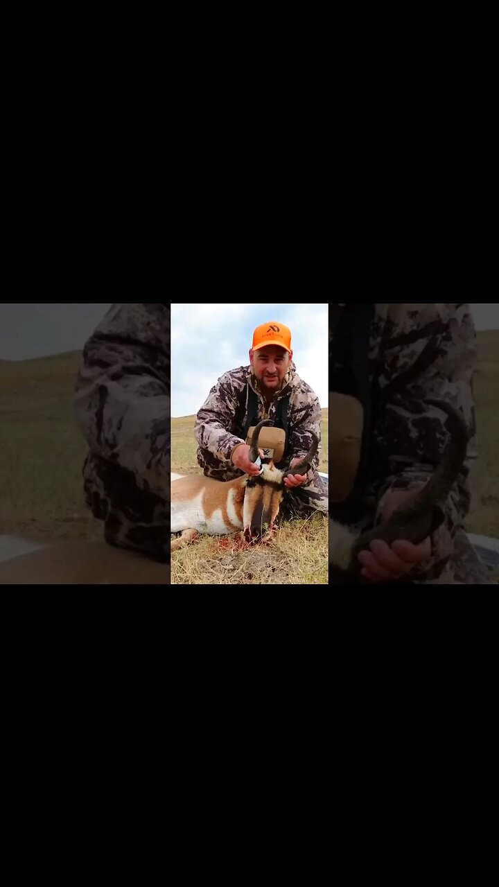 Actually, I got an animal! #pronghornhunt #hunting