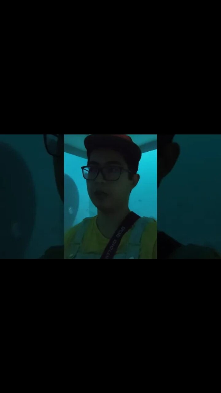 Laguna art museum (ocean contamination)