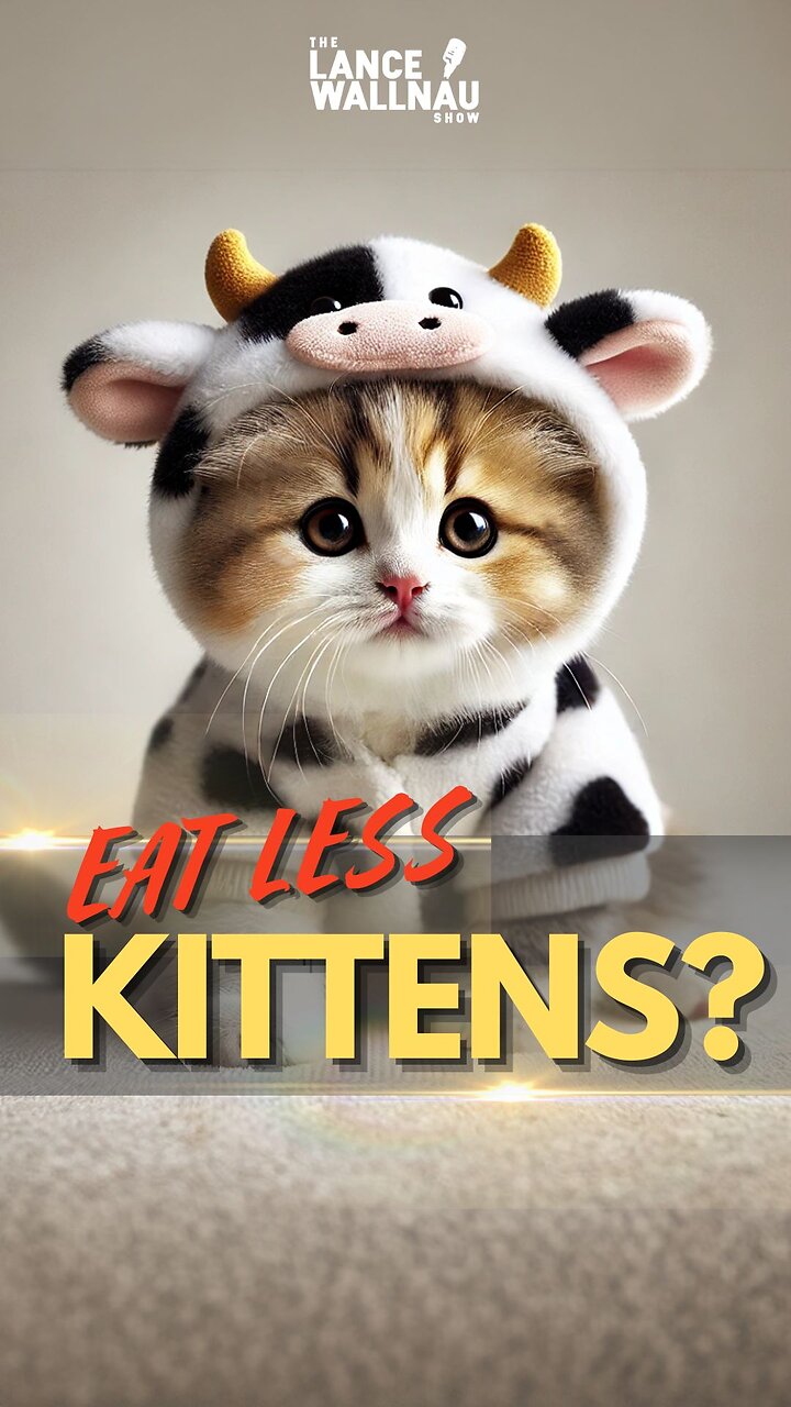 Eat Less Kittens?