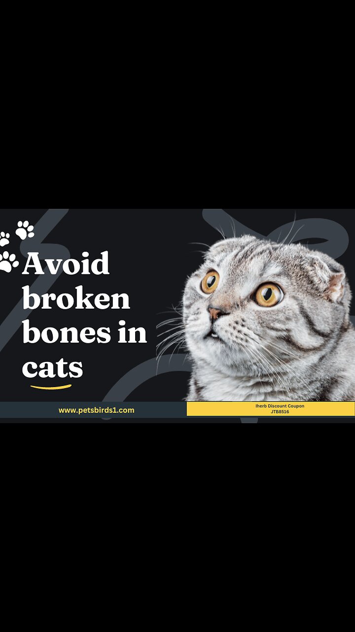 Cat broken bones | Recovery from cat bone fractures #pets_birds