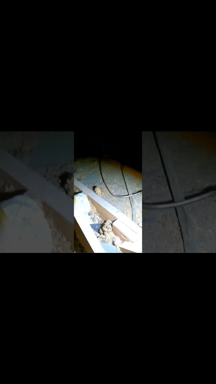 Loose roof structure can create a sagging roof. #youtubeshorts