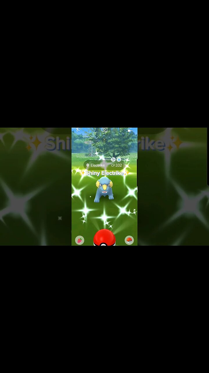 #shiny #electrike #pokemon #shinypokemon #pokemongo #shinyhunting # ...