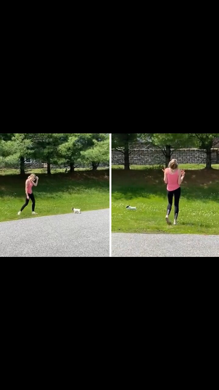 Woman Hilariously Fails To Catch Her Tiny Running Puppy