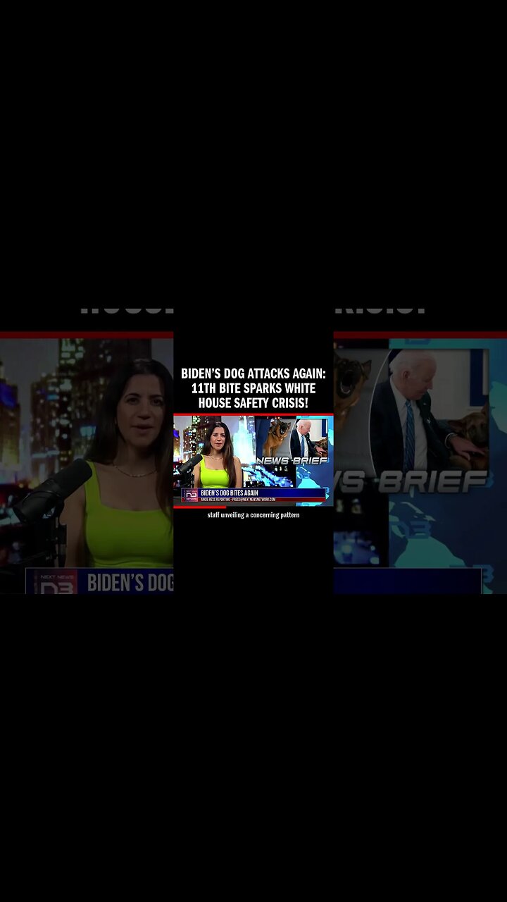Biden's dog, Commander, bites again, marking 11th attack on staff