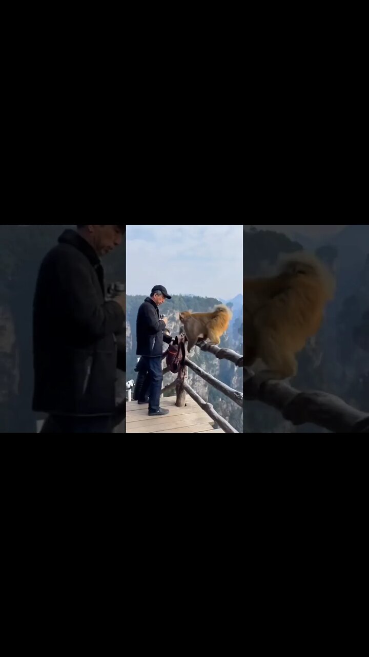 😂😂full fun comedy video caught on camera😜 comedy video 😜😂😂 masti masala ...