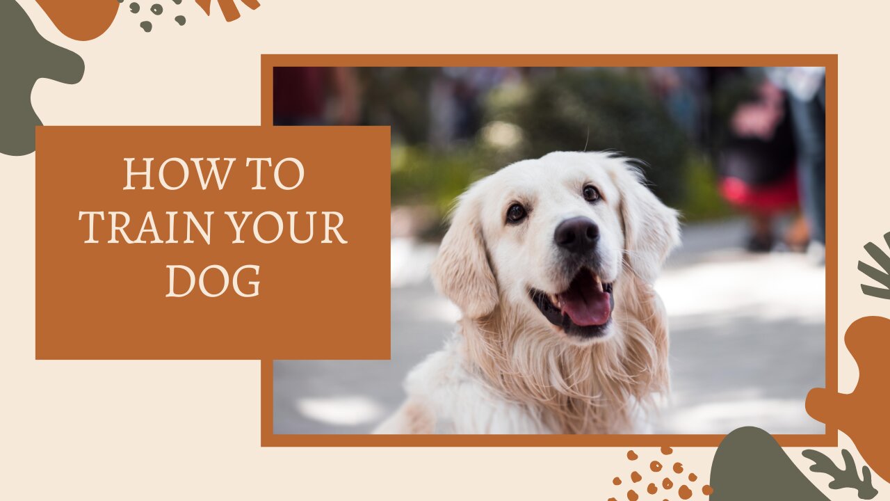 NEW! Positive Dog Training Instructional