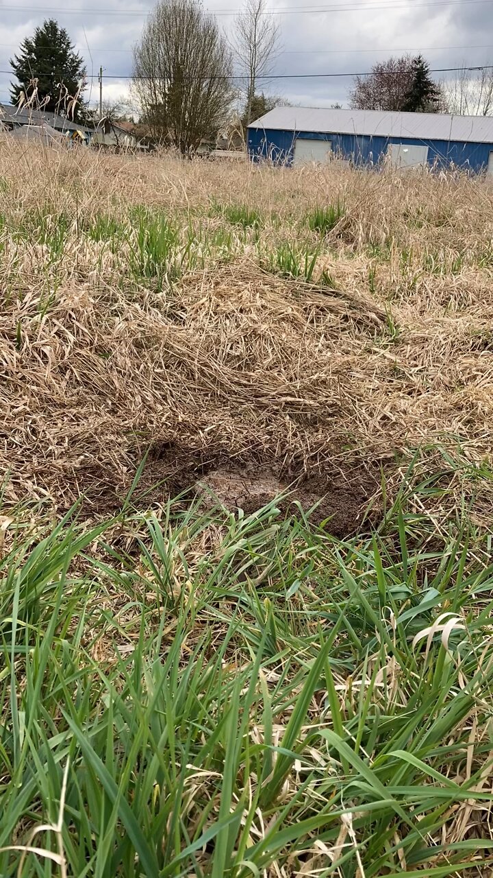 Making mud furnace part 1