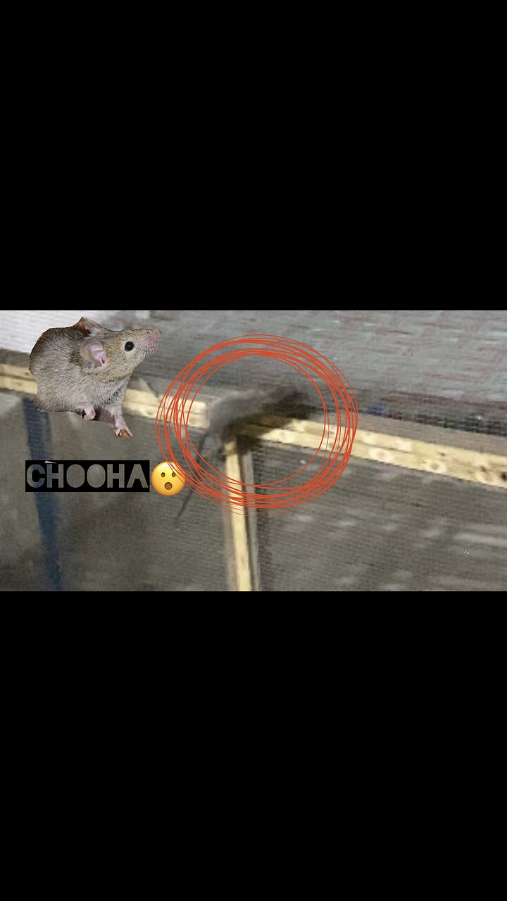 Setup main choohe agai