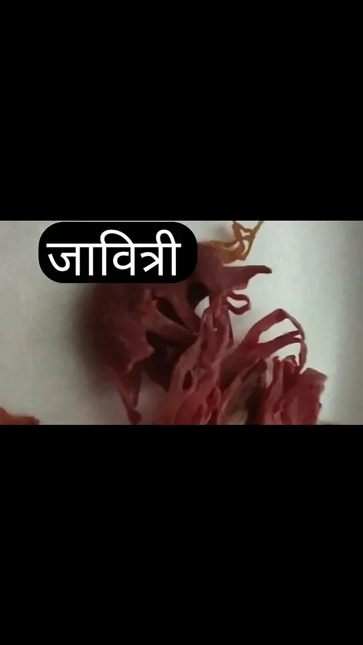 Difference Between Javitri and Jaiphal। जावित्री एवं जायफल में अन्तर ...