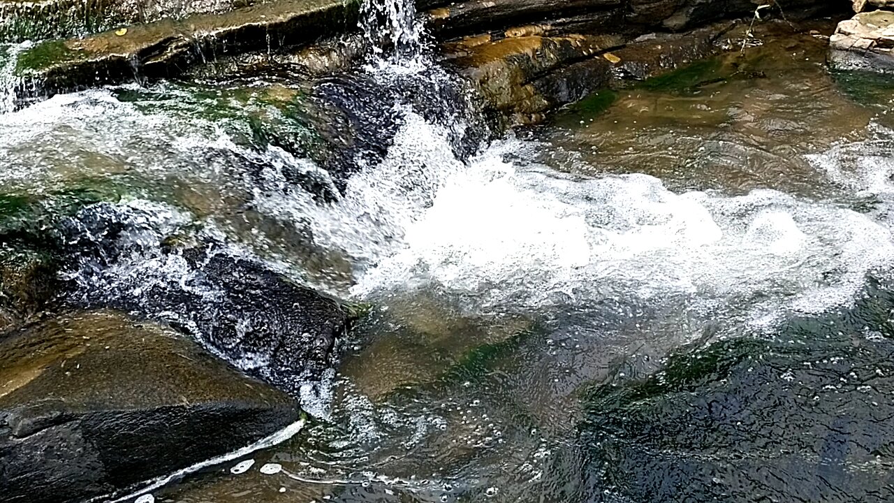 prakitik natural beauty