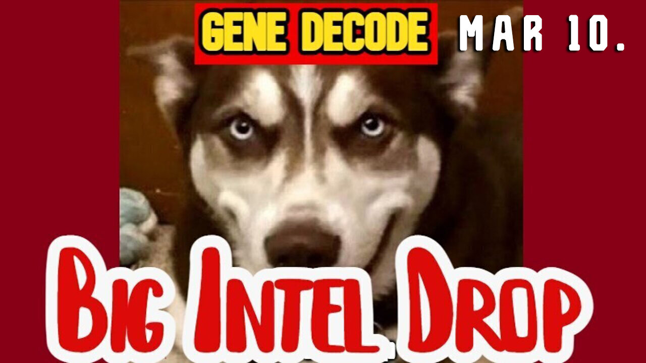 Gene Decode Big Intel Drop 3-10-2024