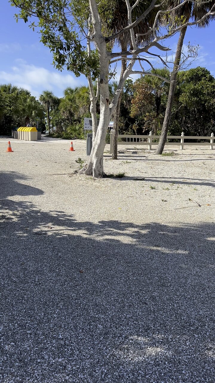 Barefoot Beach Preserve Reopens 4K