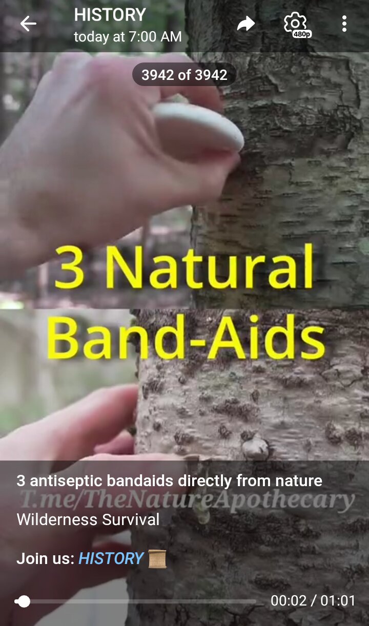 Documentary: Natural Band-aids