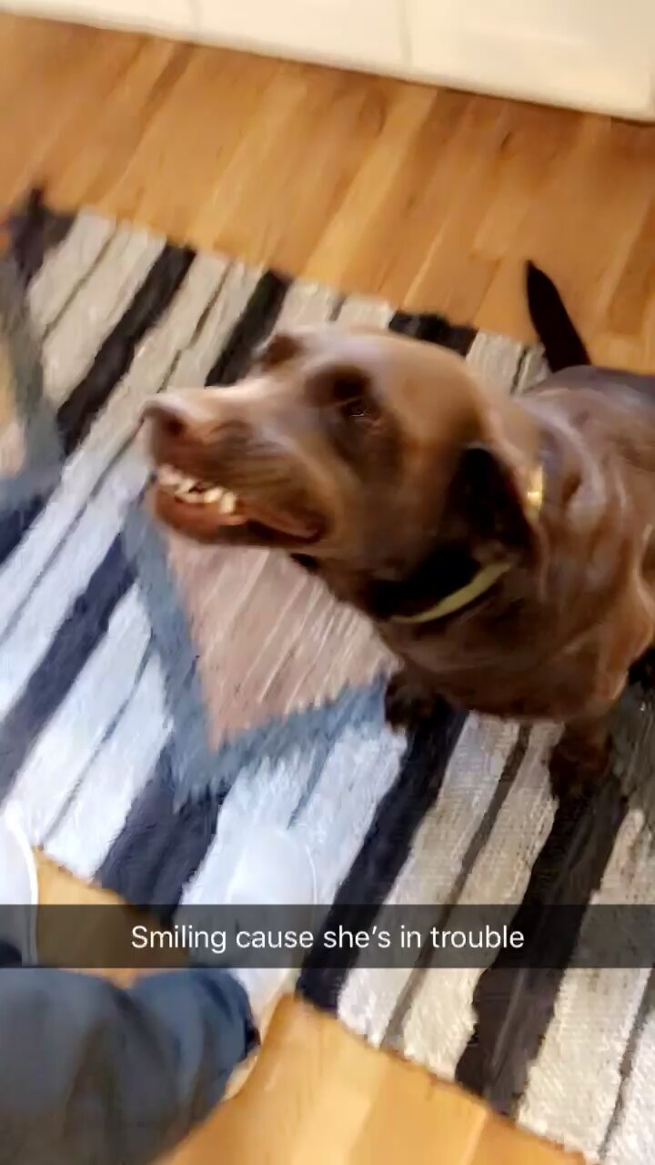 Smiling Reese