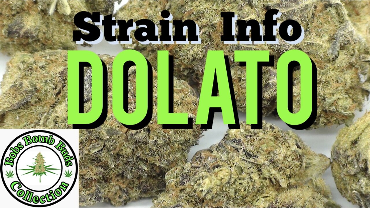 Dolato Cannabis Review