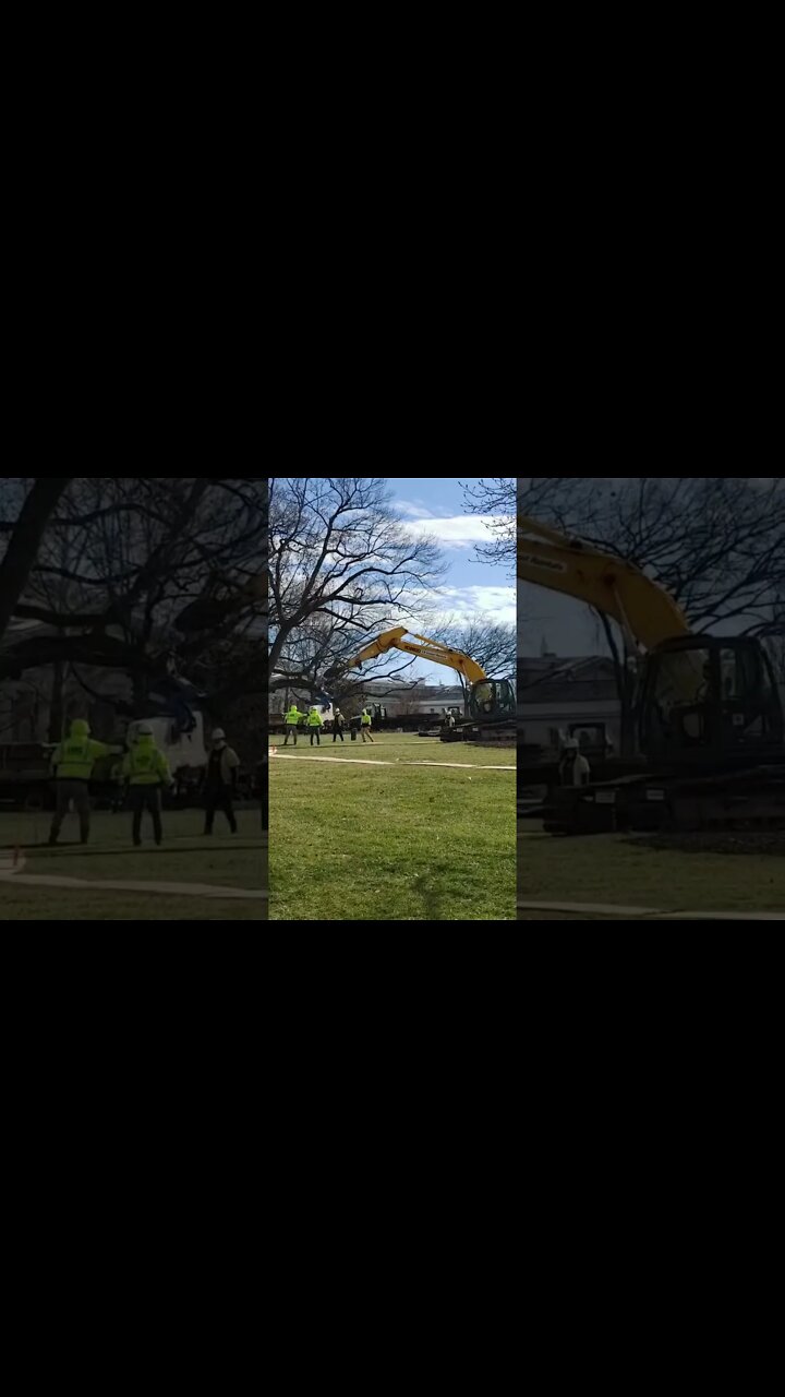 1/10/22 Nancy Drew in DC- Live Video 3- Area in Front of WH Opened Up ...