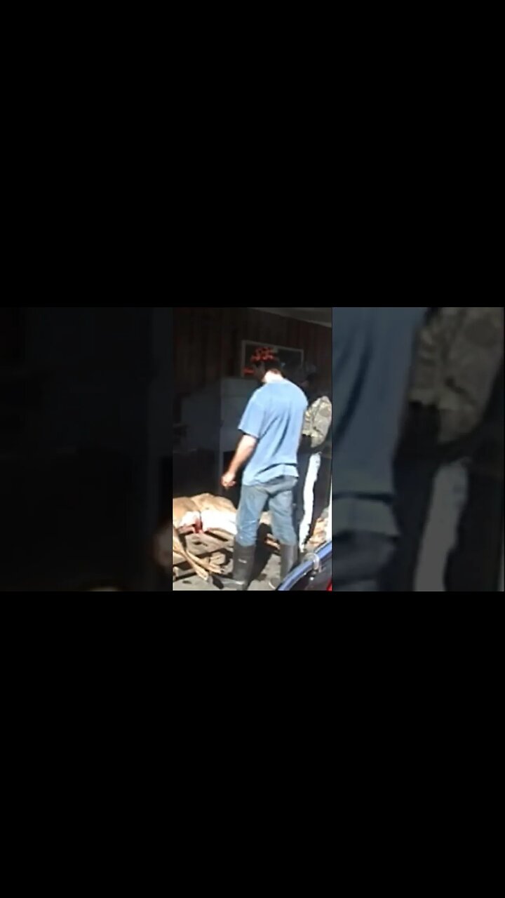 Dan Infalt weighs his big buck at the local check-in station