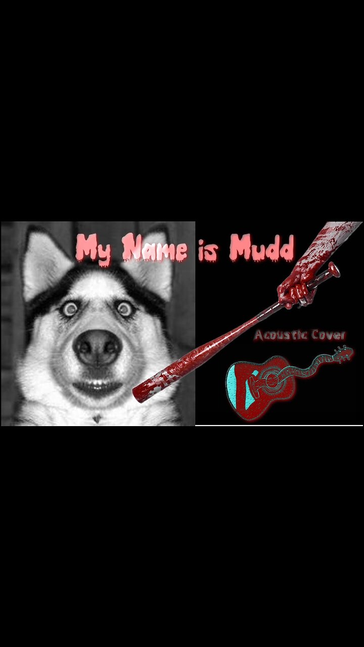 My Name is Mud Primus - Acoustic Cover