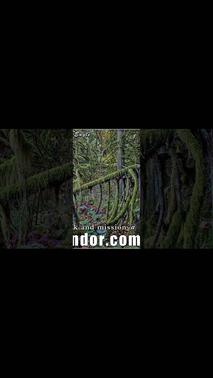 Brave Awakening Rainbow Warriors of our Tribe of 99 #astrology # ...