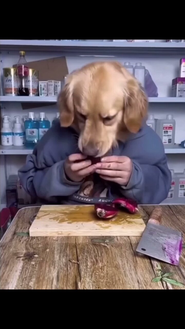 human with dog face