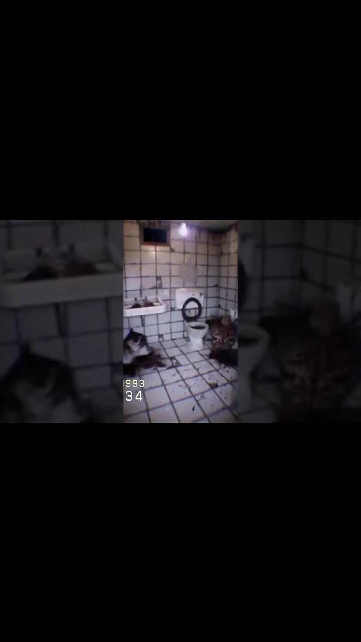 One of many jump scares from Don't Scream! #scary #gaming