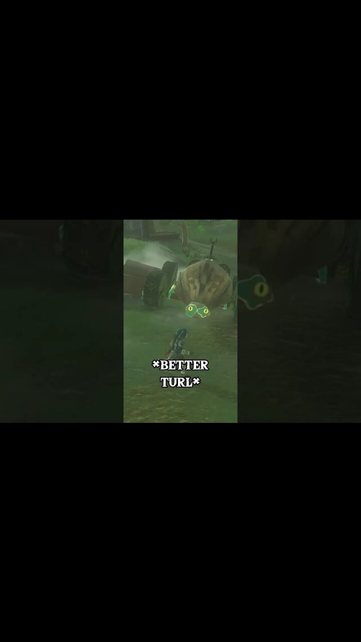 Building A Turtle In Zelda TOTK #zelda #tearsofthekingdom #shorts