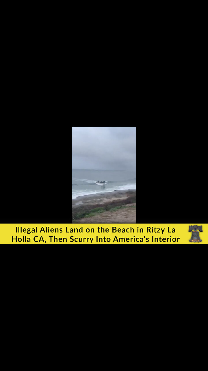 Illegal Aliens Land on the Beach in Ritzy La Holla CA, Then Scurry Into ...