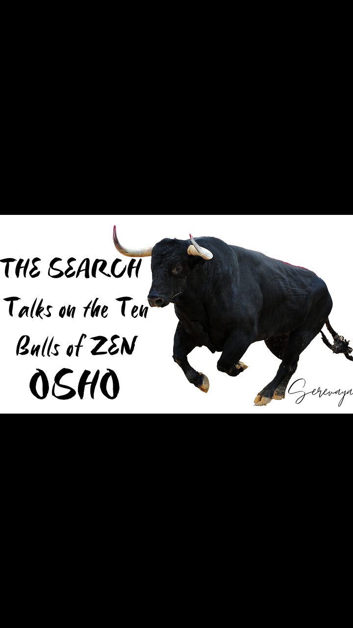 OSHO Talk - The Search - Perceiving the Bull and Catching the Bull - 3