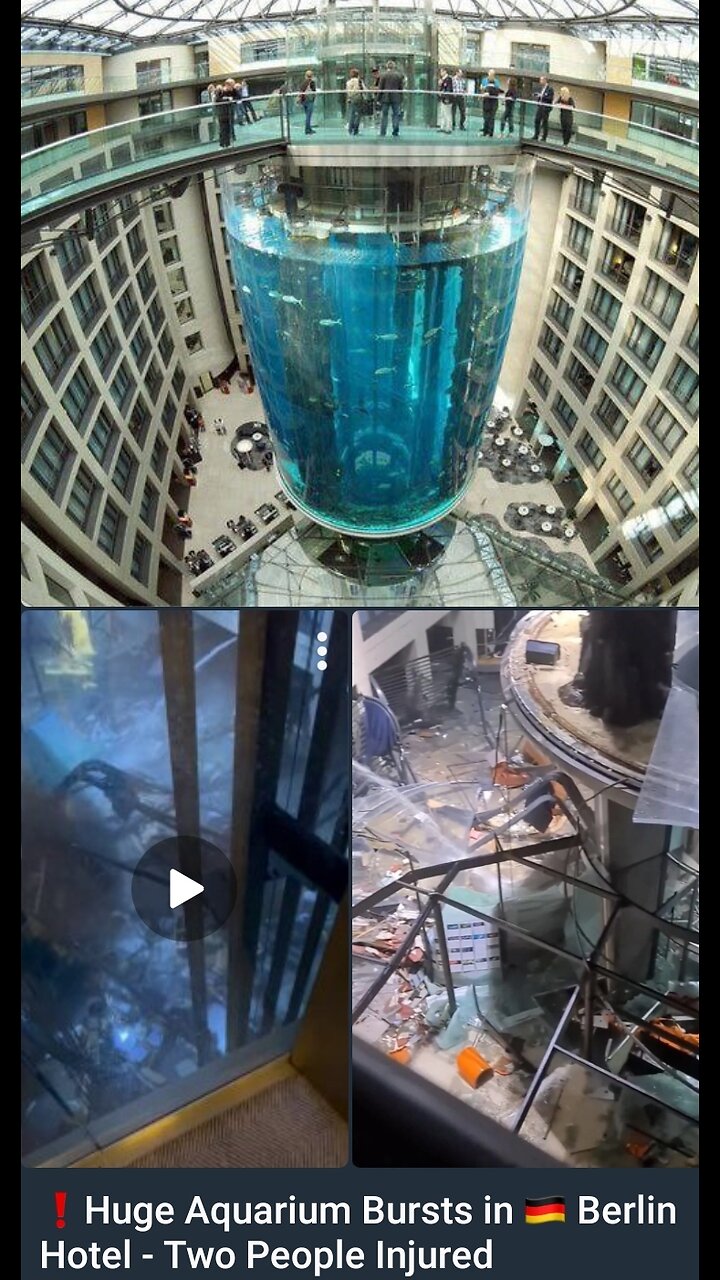 💥 1700 Fishes, 1 million litre water - The huge aquarium in the Dom ...