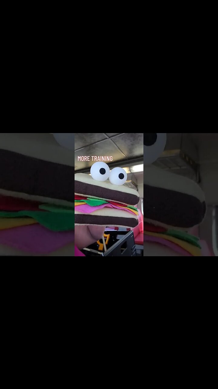 Mahoney shares a dream. #puppet #puppets #snarkypuppets #train # ...