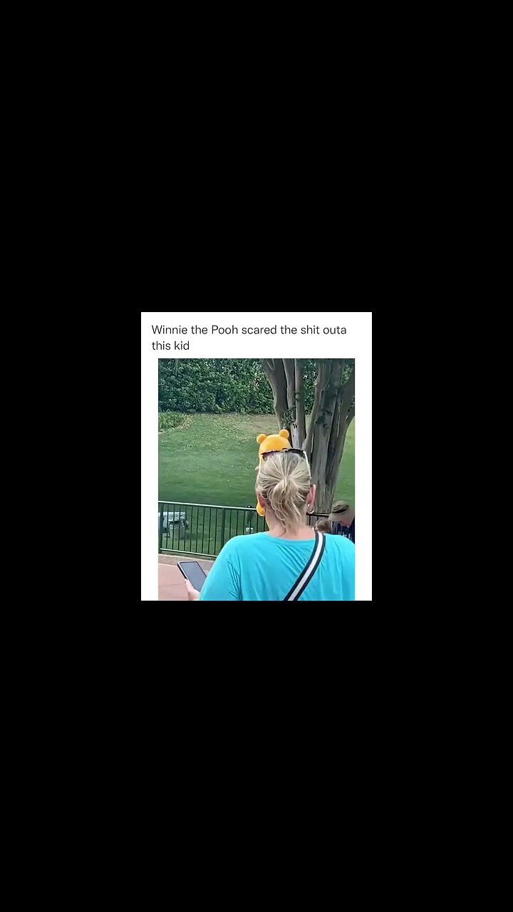 Winnie the Pooh Picaboo!