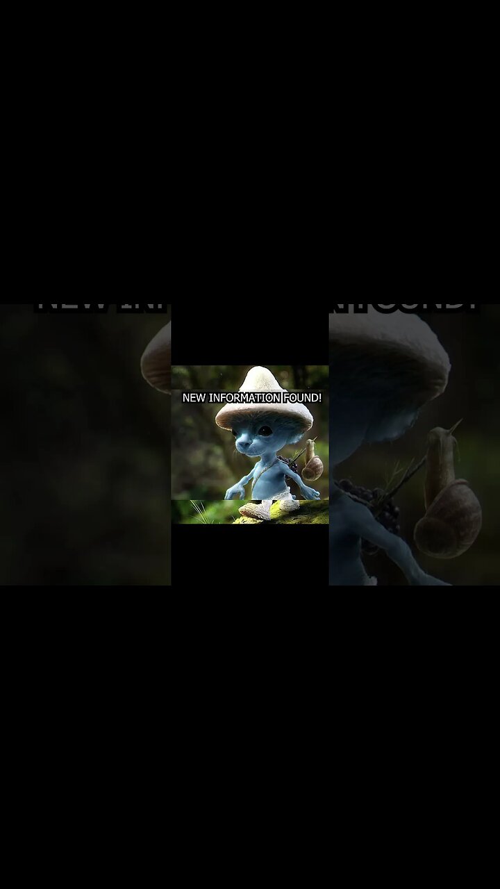 Blue Smurf Cat NEW INFORMATION REVEALED! #smurfcat #bluesmurfcat