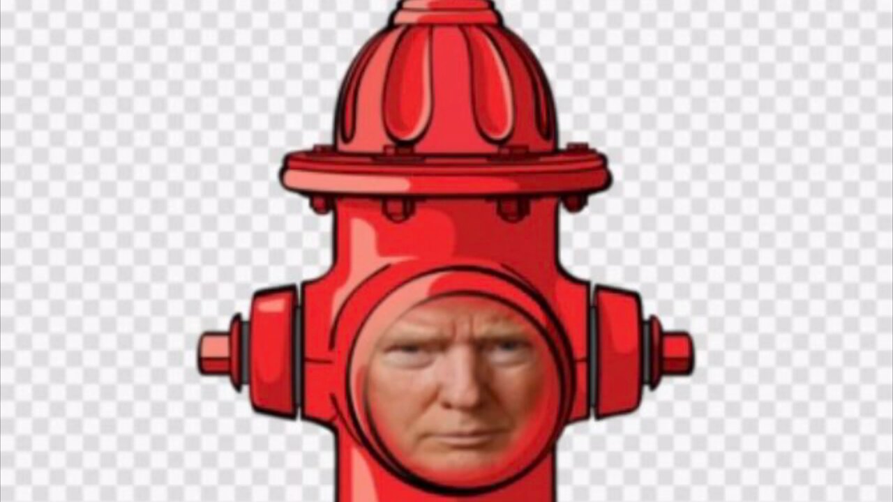 The Ultimate Donald Trump Fire hydrant Meme! 🔥