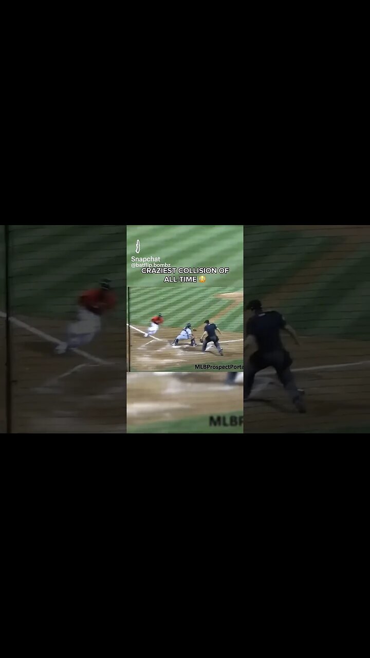 GIFs & COUBs 89 | #coub #memes #memesdaily