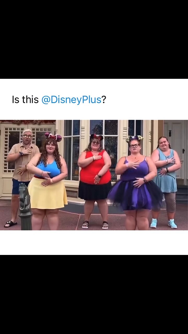 Meme 159 Sticks 🪵 and Stones 🪨 (MemeVideo) 🎼 🖼️