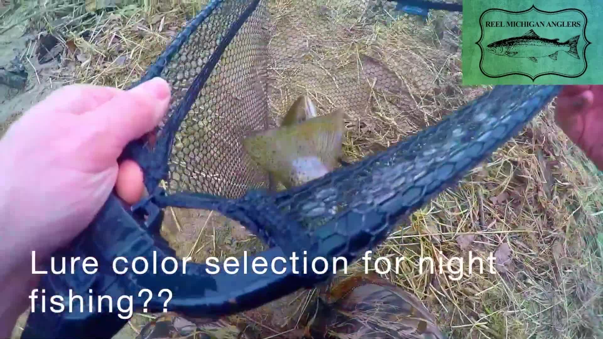 How Do I Choose The Right Lure Color? / My 6 Rule Guide To Choosing ...