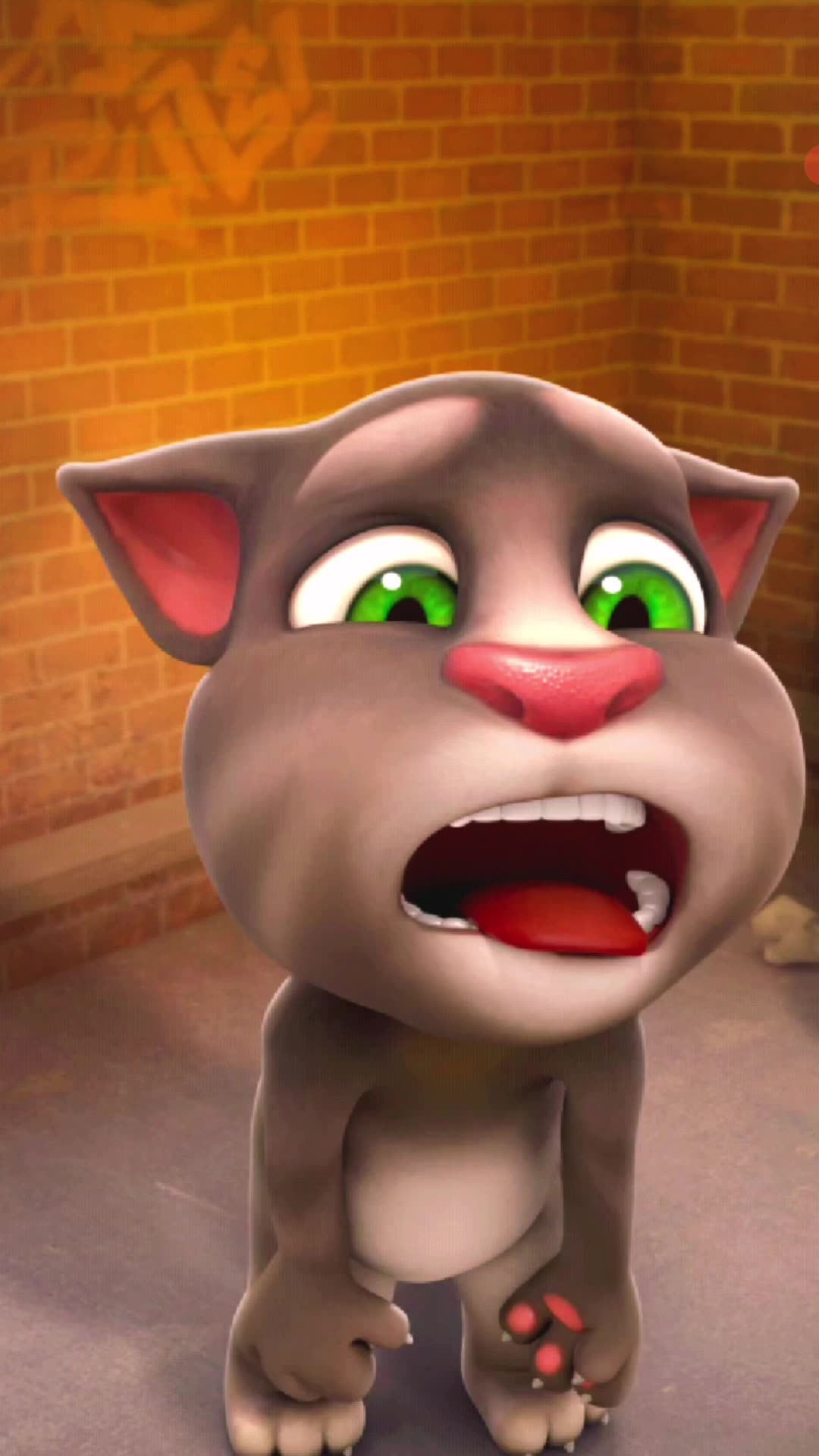 Talking Tom eat chilli 🌶️😳Tom shorts