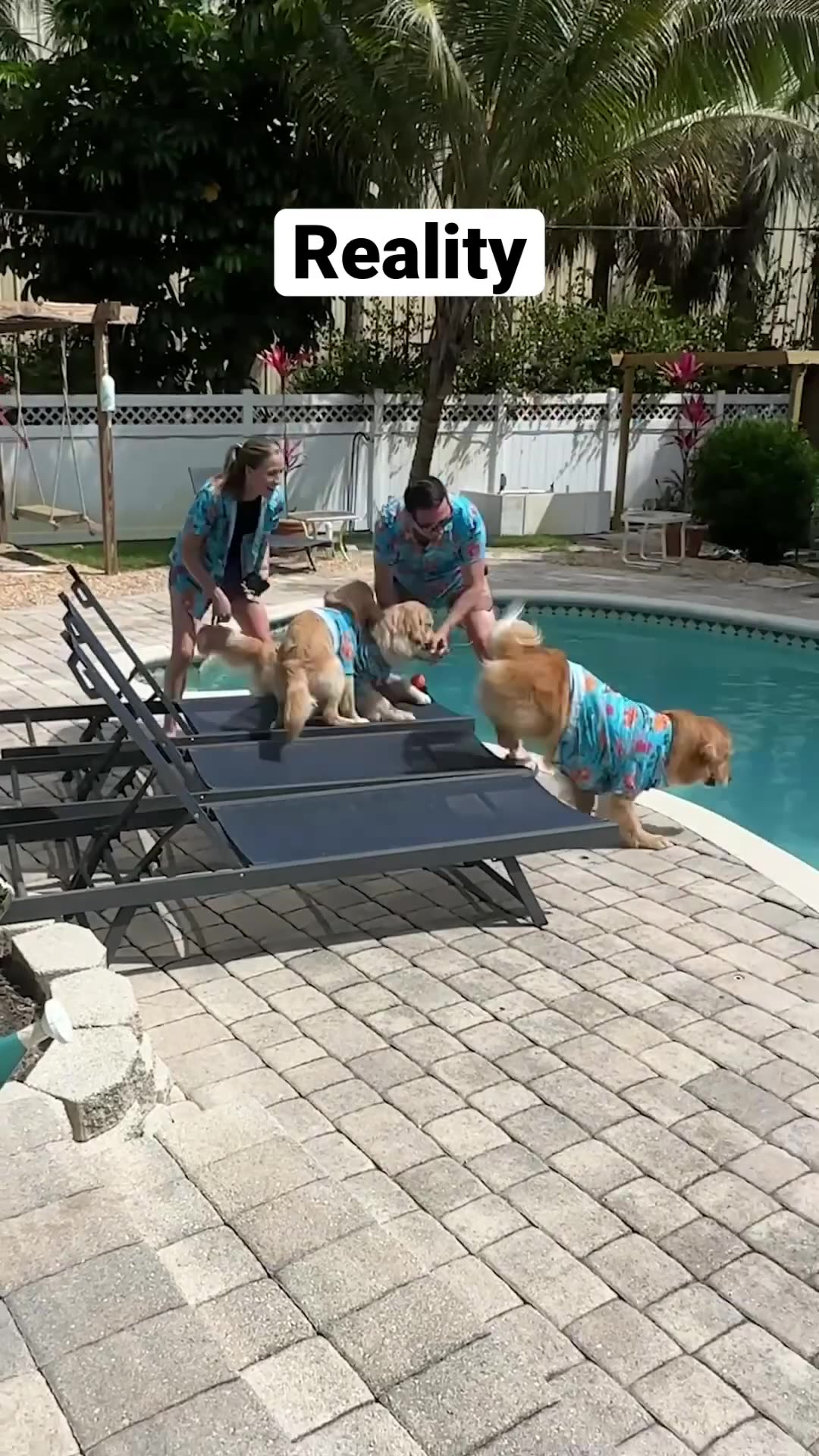 The things you do for the perfect dog picture